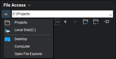 File Access Panel - Explorer Mode